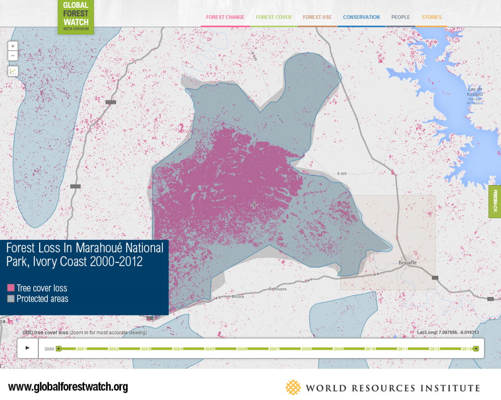 5 Overlooked Deforestation Hotspots | Global Forest Watch Blog