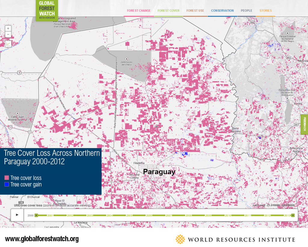 5 Overlooked Deforestation Hotspots | Global Forest Watch Blog