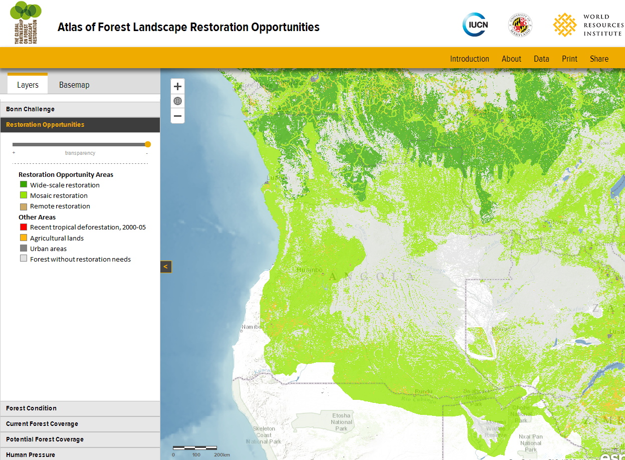 7 Unexpected Places for Forest Landscape Restoration | Forest Insights ...