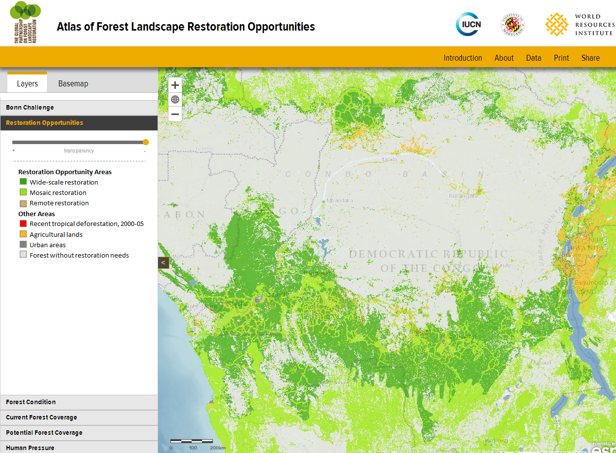 7 Unexpected Places for Forest Landscape Restoration | Forest Insights ...