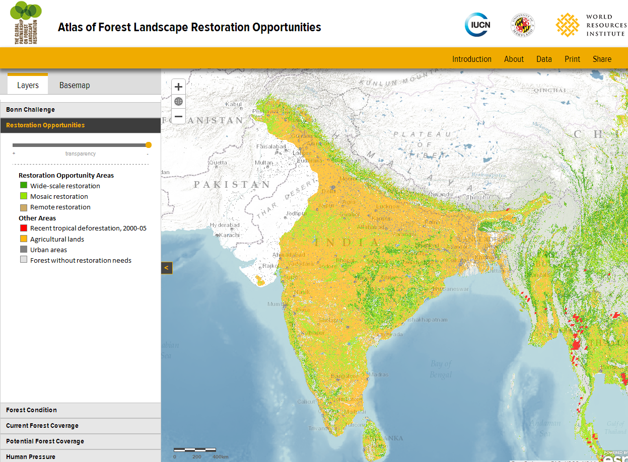 7 Unexpected Places for Forest Landscape Restoration | Forest Insights ...