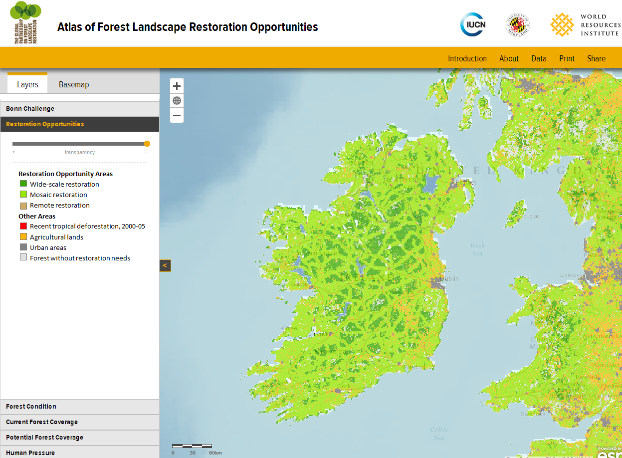 7 Unexpected Places for Forest Landscape Restoration | Forest Insights ...