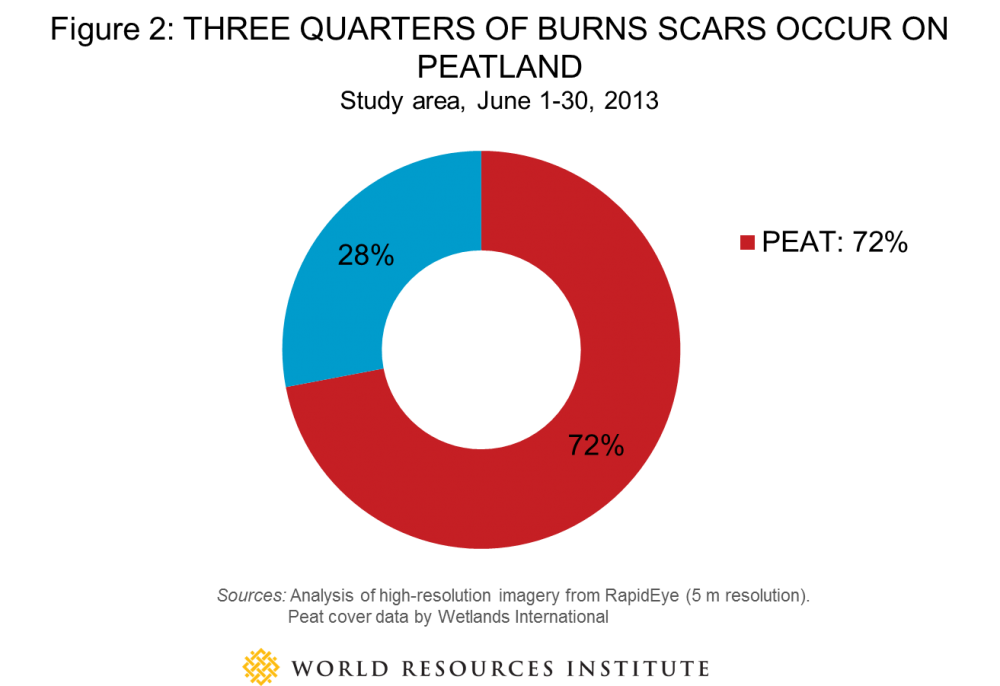 ASEAN Leaders Can Act to Reduce Fires and Haze | Forest Insights ...