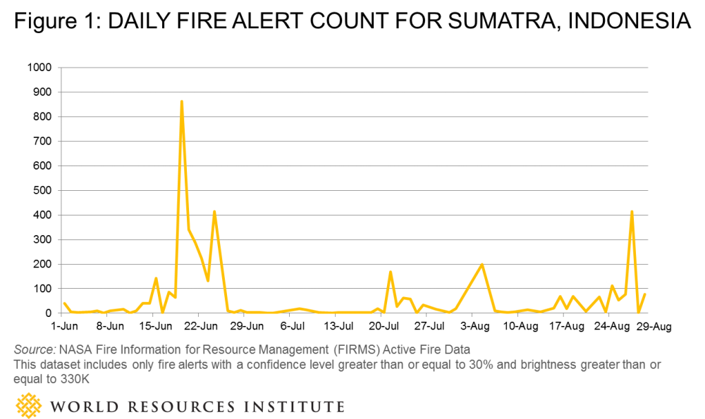 Indonesia Burning: Forest Fires Flare To Alarming Levels | Forest ...