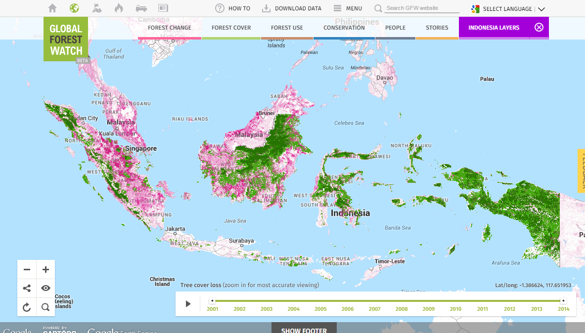 Tree Cover Loss Spikes in Russia and Canada, Remains High Globally ...