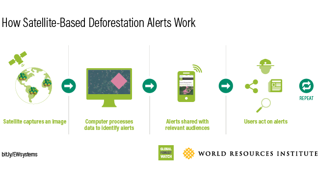 Early Warning Systems for Deforestation: An Explainer | Global Forest ...