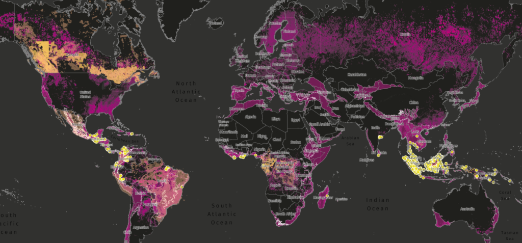 Turning Over a New Leaf: GFW's New Map Makes It Easier to Explore ...