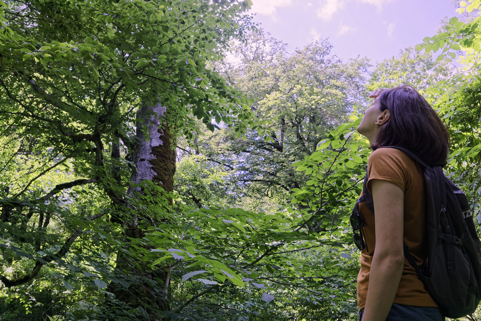 This 23-year Old Woman is Innovating Forestry in Her Home Country ...