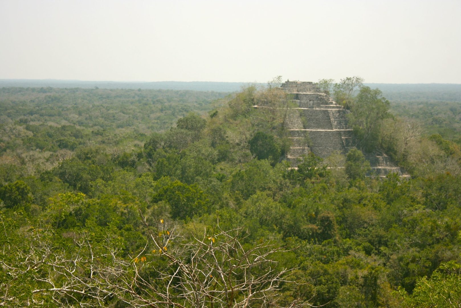 30 Years of Forest Protection in the Yucatán Peninsula