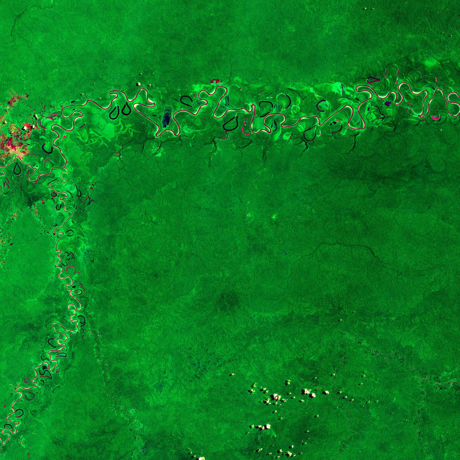 How Tree Cover Loss Data Has Changed Over Time | GFW Blog