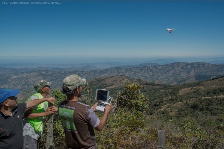 Test Guide | Help Center | Global Forest Watch