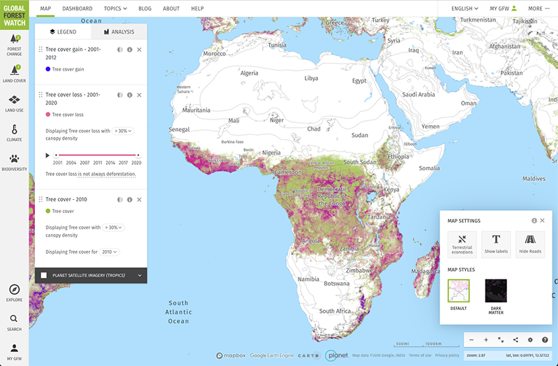 There are two customizable basemap styles: