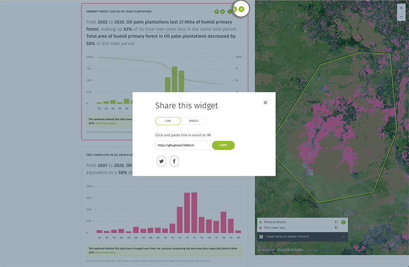 analysis dashboards monitor forest change view forest trends