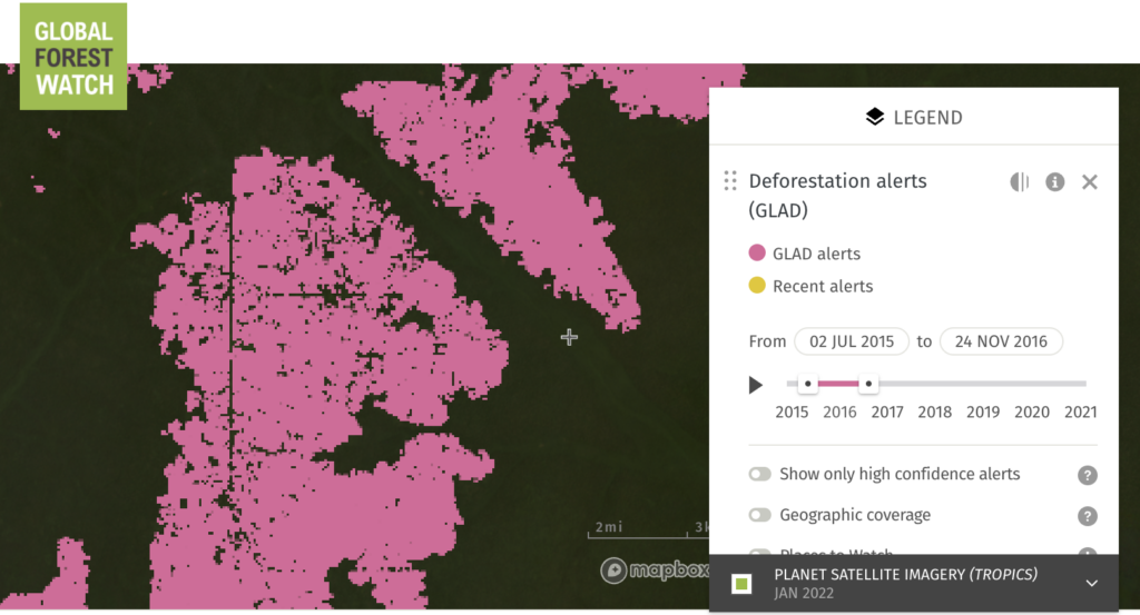 We Know How Forests Changed this Month, Thanks to New Satellite Alerts ...