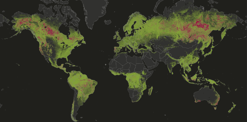 Global Forest Watch’s 2023 Tree Cover Loss Data Explained | GFW Blog