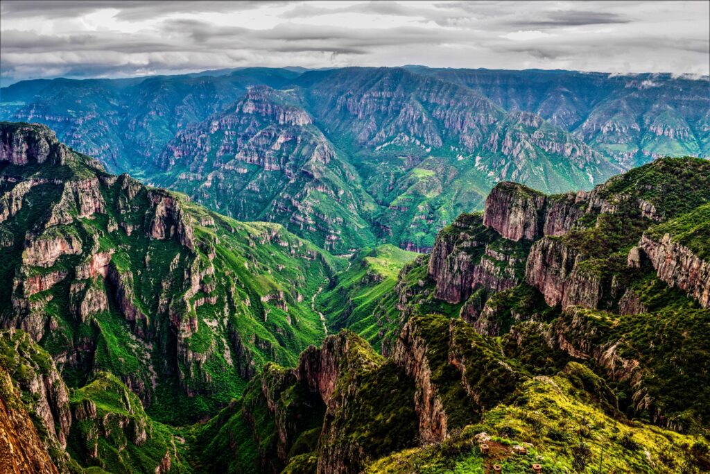 Forest News, Research & Monitoring | Global Forest Watch Blog