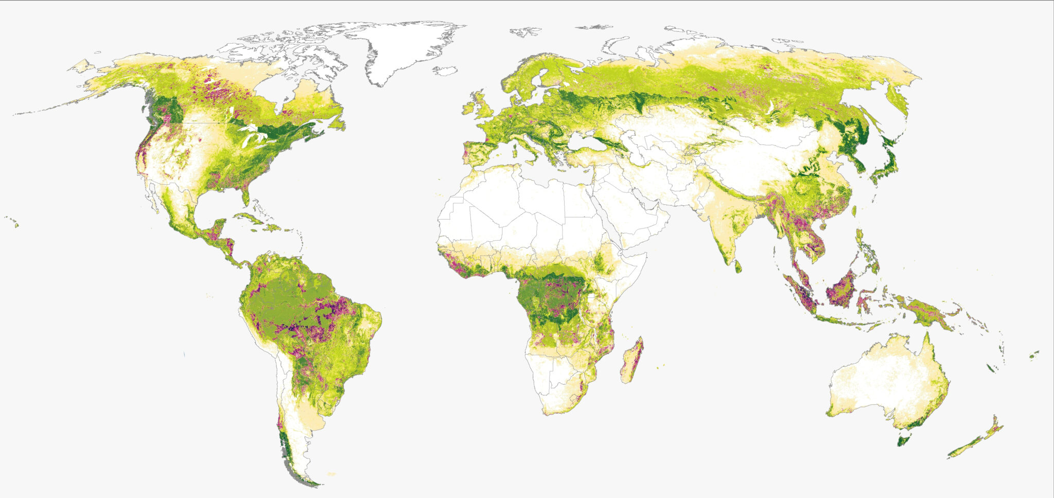 Tree Cover Loss and Tropical Moist Forest Differences, Explained