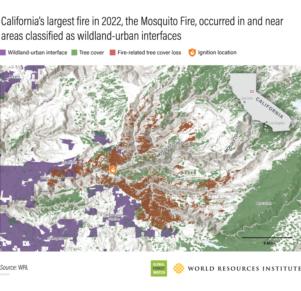 How Do We Reduce Forest Fires?
