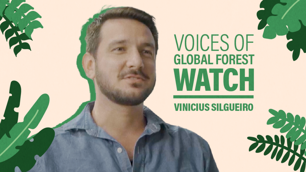 Forest News, Research & Monitoring | Global Forest Watch Blog