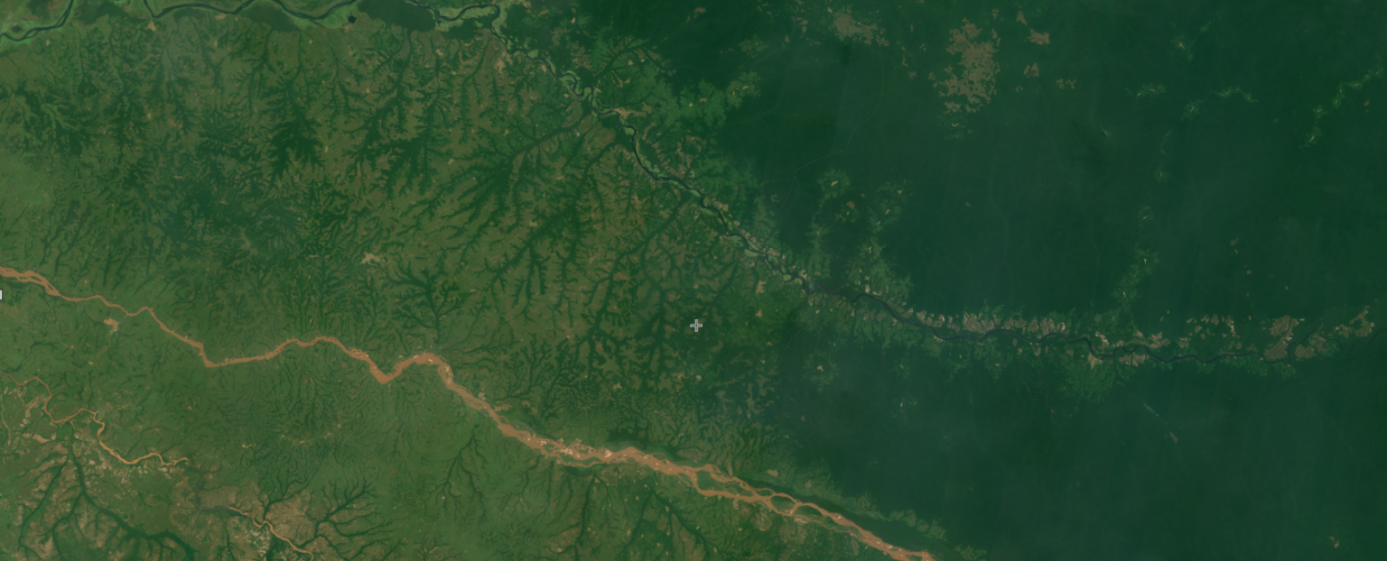 Updated Planted Trees Map Reaches Near-Global Coverage