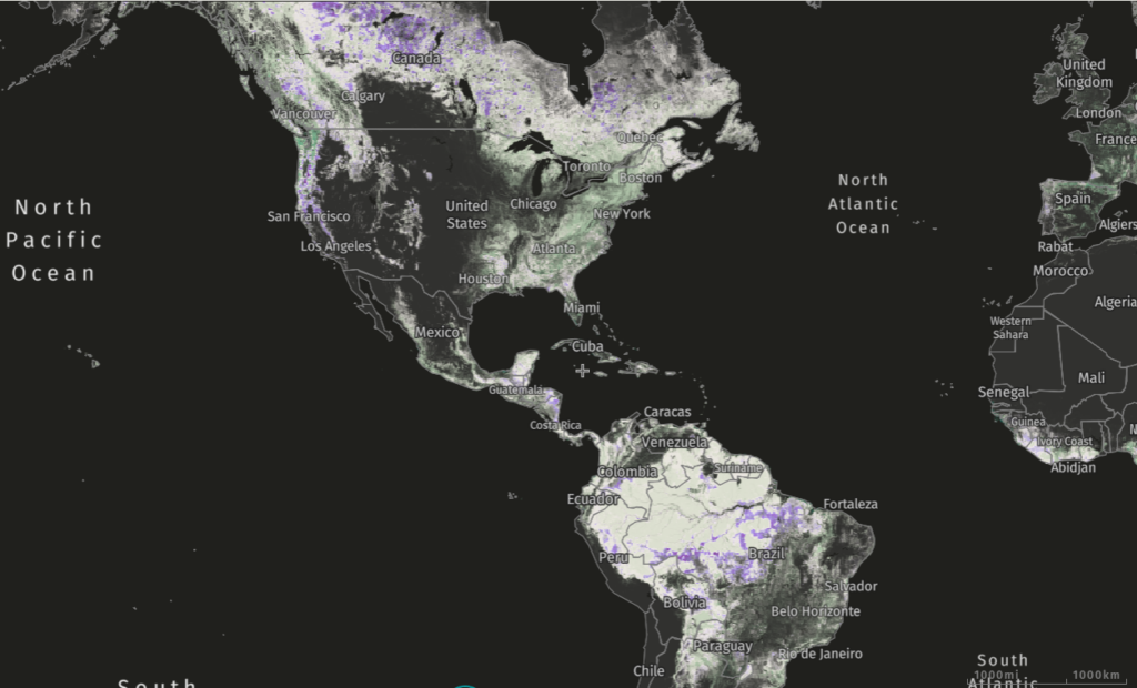 Explicación de los datos de Global Forest Watch sobre la pérdida de ...