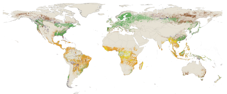 The Most Detailed Look Yet of What’s Driving Forest Loss Globally
