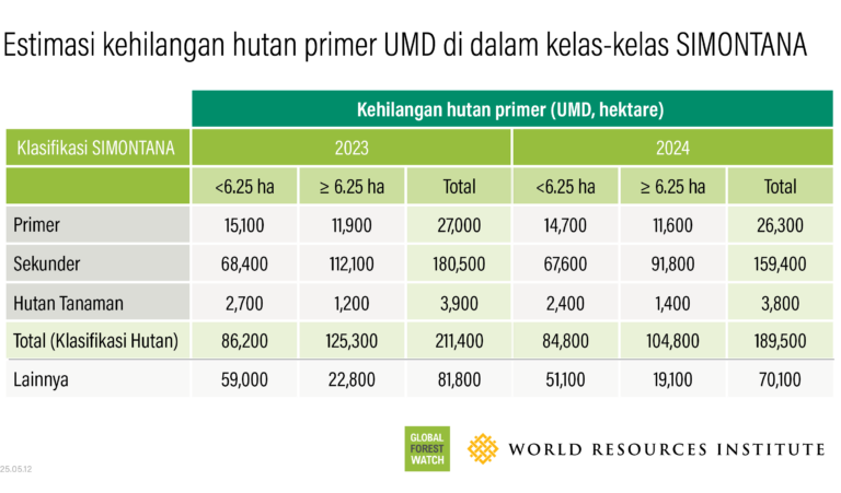 Penjelasan Data Kehilangan Tutupan Pohon 2024 dari Global Forest Watch