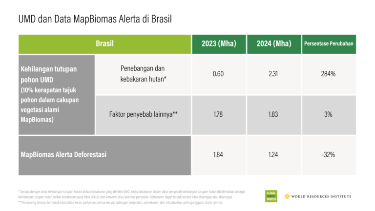Penjelasan Data Kehilangan Tutupan Pohon 2024 dari Global Forest Watch