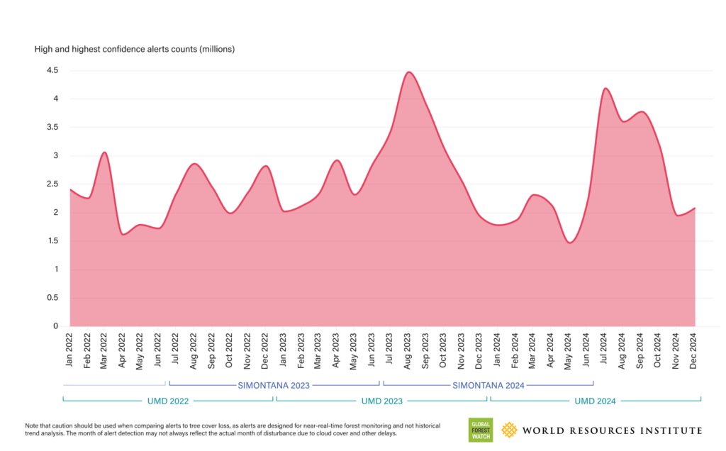 Global Forest Watch’s 2024 Tree Cover Loss Data Explained