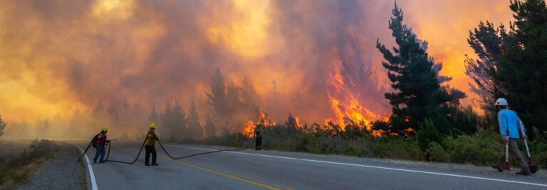 Forest News, Research & Monitoring | Global Forest Watch Blog