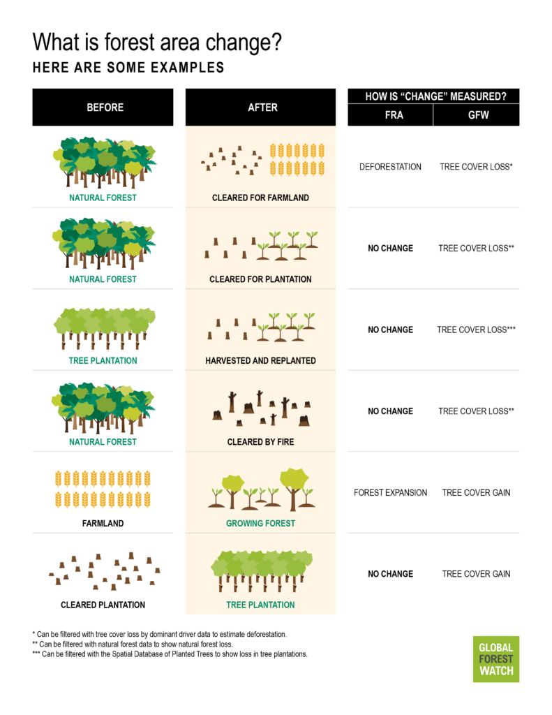 Global Forest Watch and Forest Resources Assessment | GFW Blog