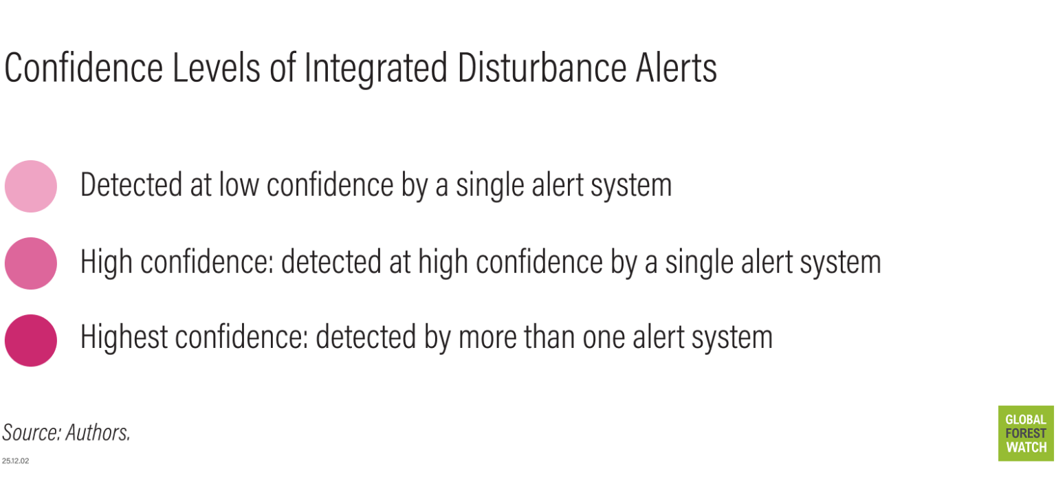 Explore GFW's Updated Integrated Disturbance Alerts