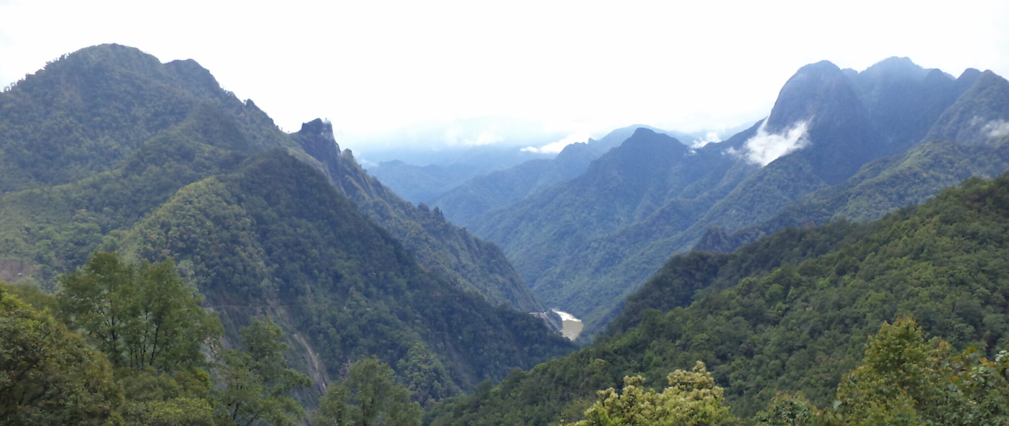 New Data Shows What’s Driving Forest Loss Around the World